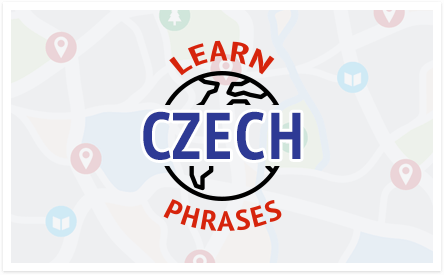 Travel Phrases - Learn Basic Phrases in 30 Languages. Fast and Easy!